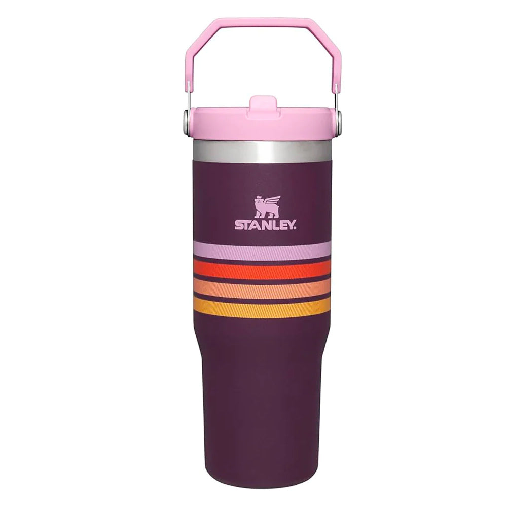 The IceFlow™ Flip Straw Tumbler | 30 OZ - Plum Stripe – HomeLux